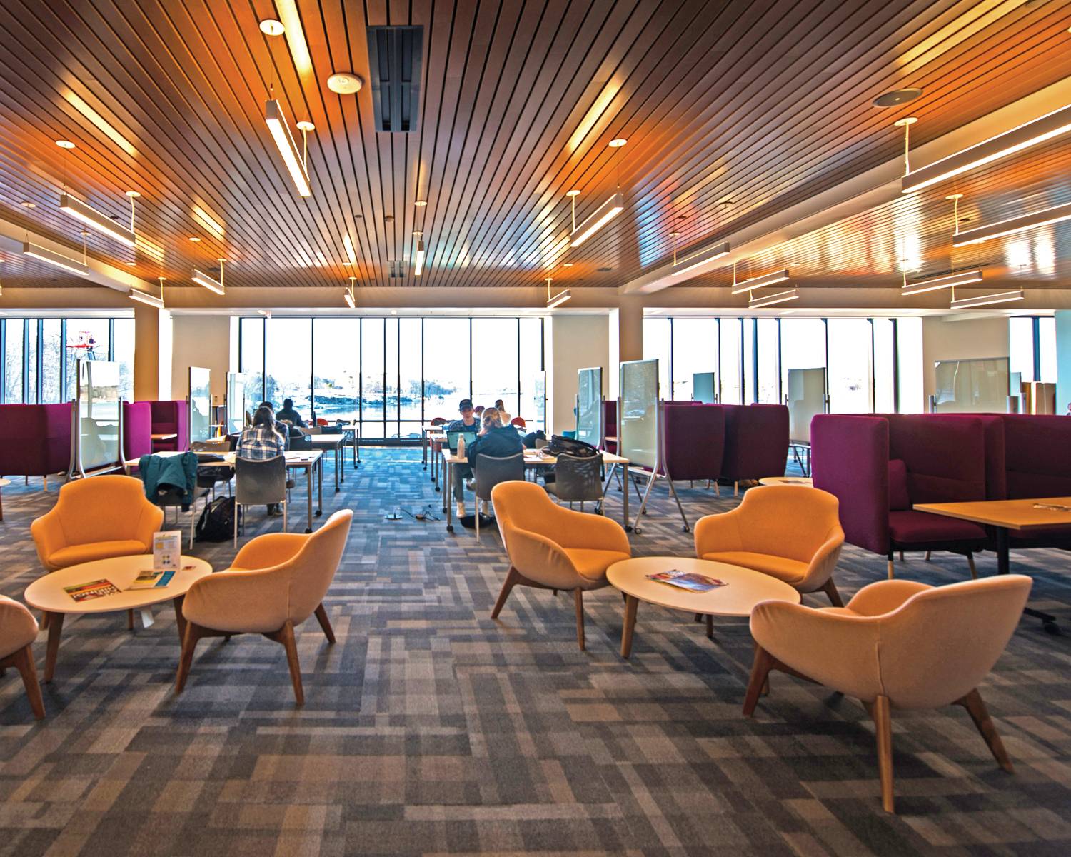 UNE’s Ripich Commons & Student-Requested Green Elements – PUPN