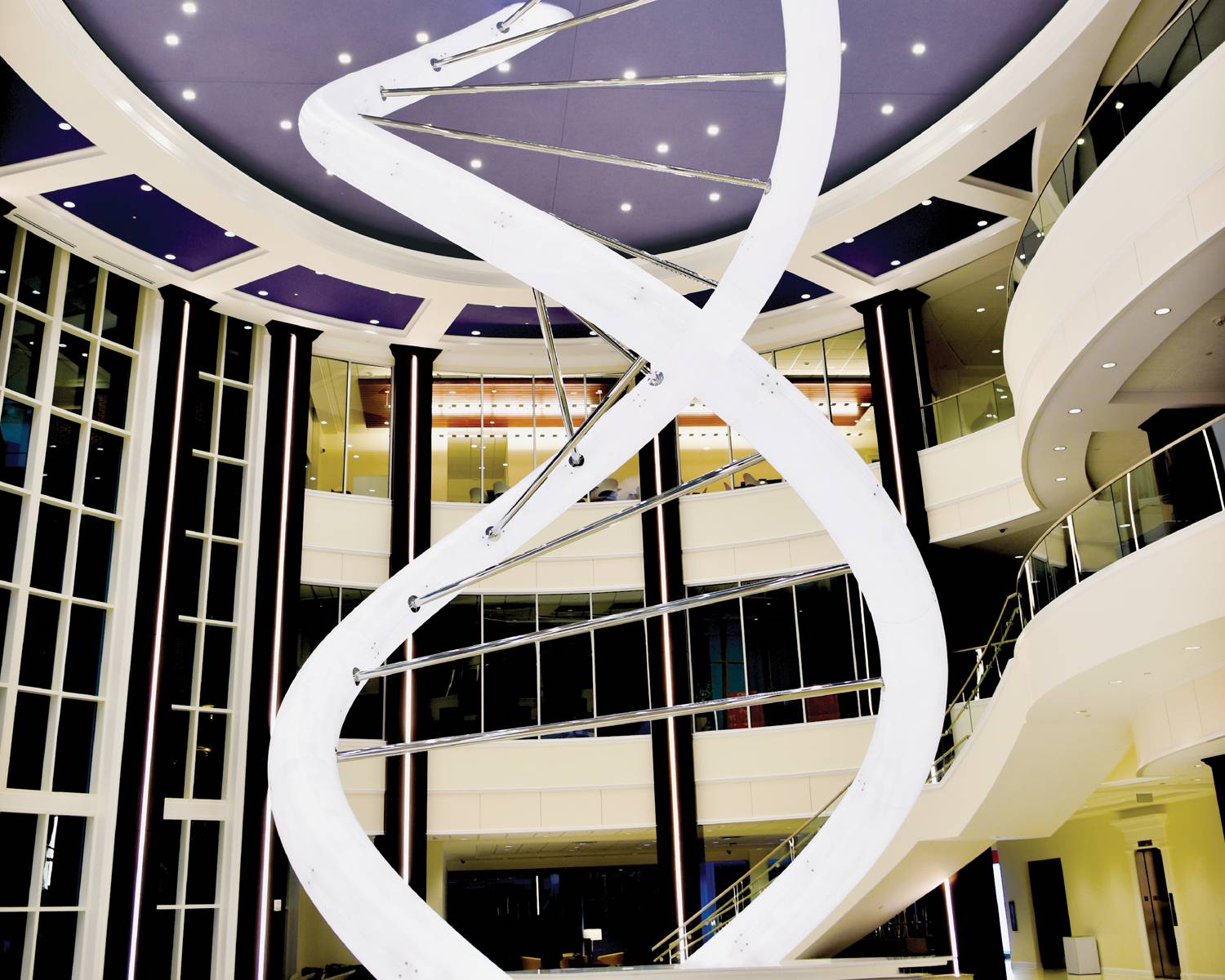 High Point University: Inspiring Undergraduate Research – PUPN