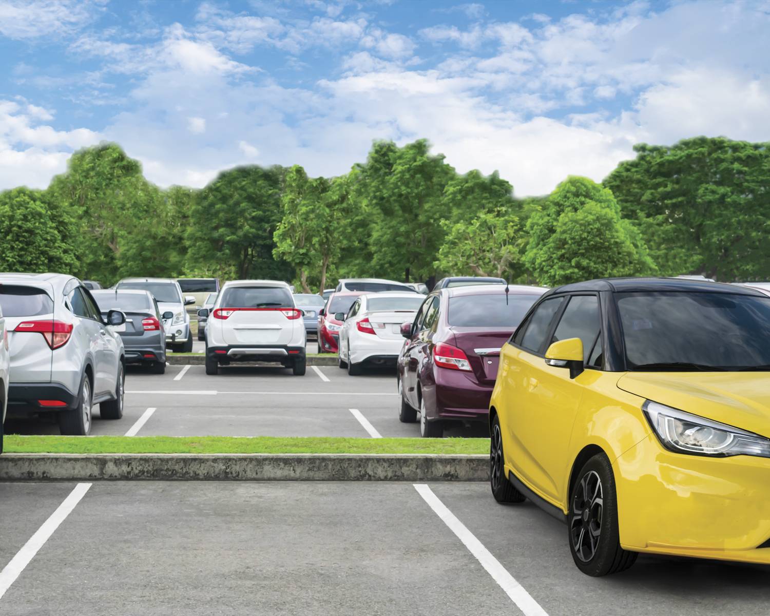 Making the Most of Finite Spaces with Campus Service Vehicles – PUPN