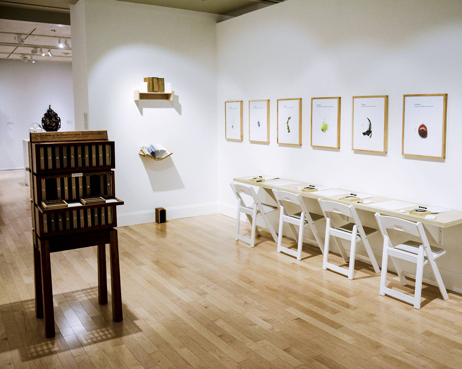 Ecology, Art, and Environment at Saint Michael's College – PUPN