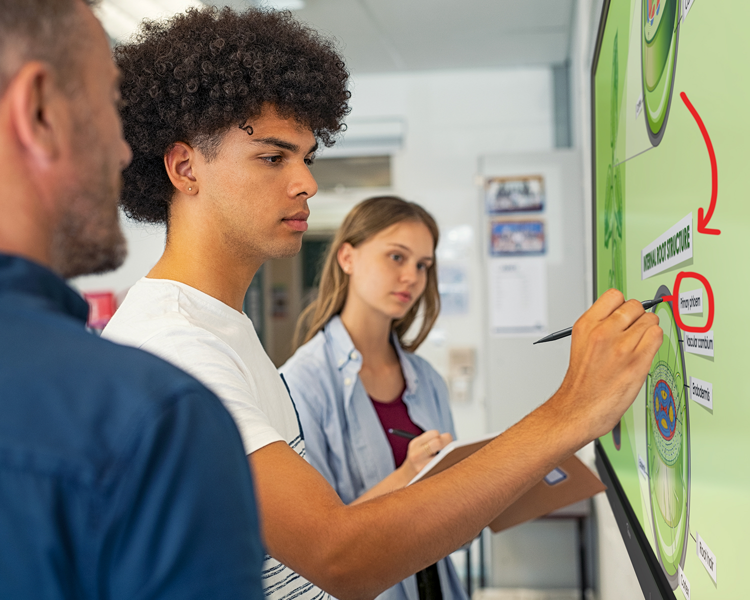 Display Trends for Higher Education – PUPN