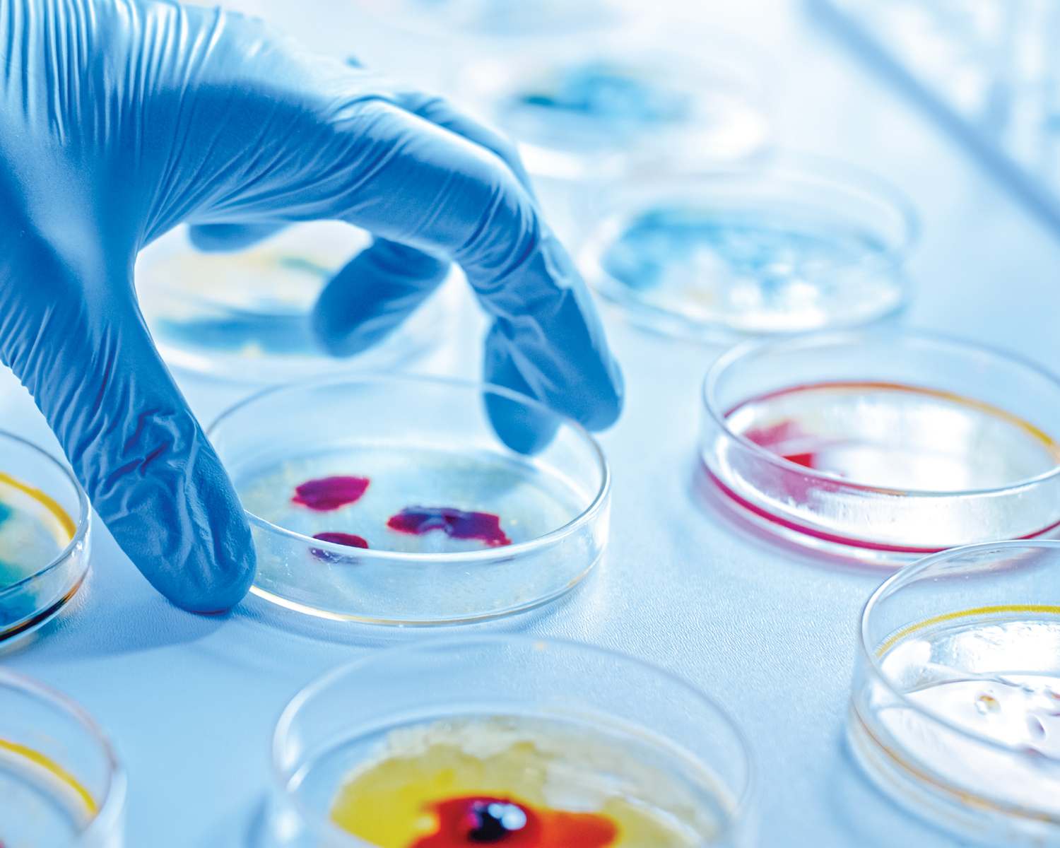 Multidisciplinary Building for Problem-Based Science – PUPN