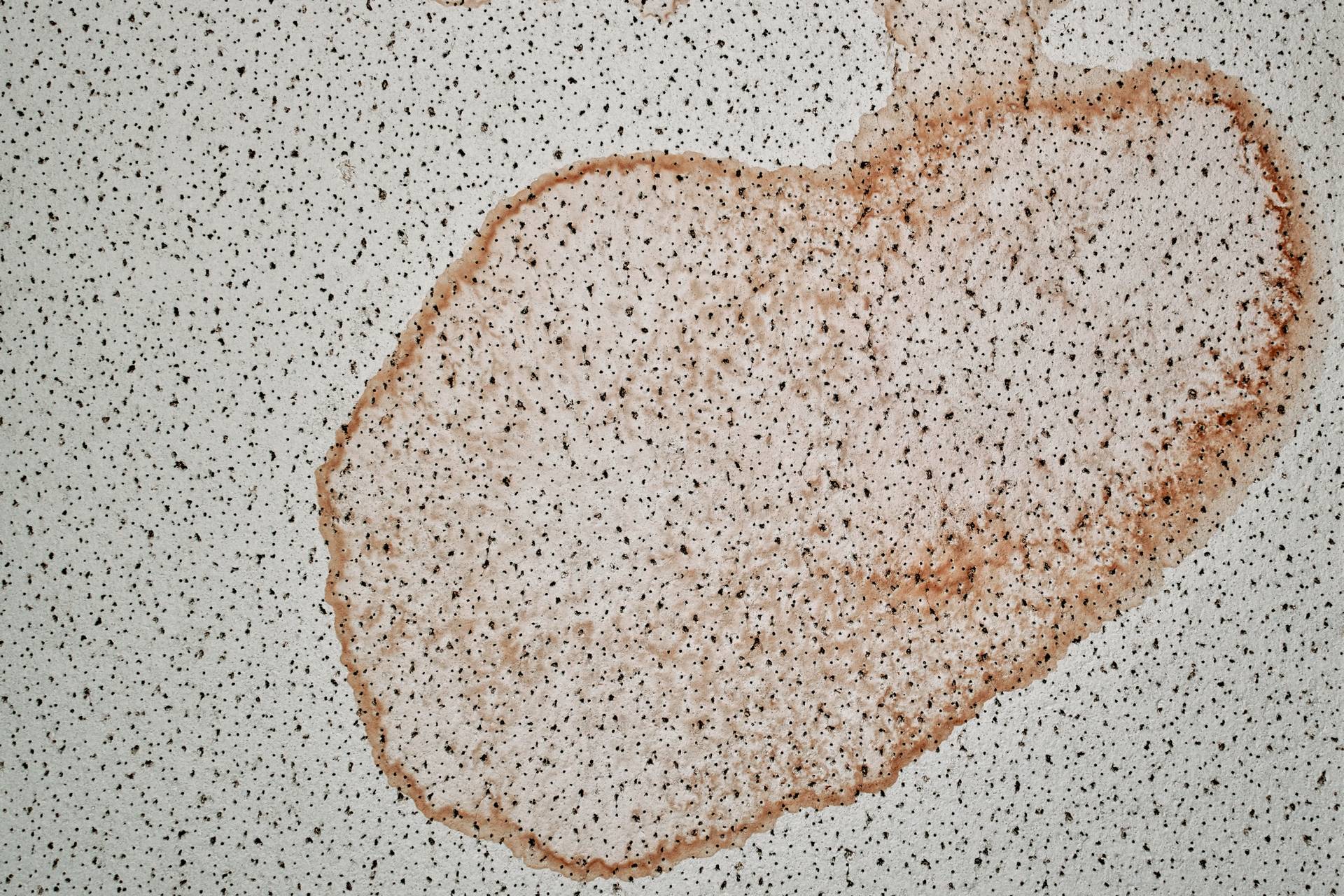 Moisture and Humidity in Campus Buildings: Early Detection and ...