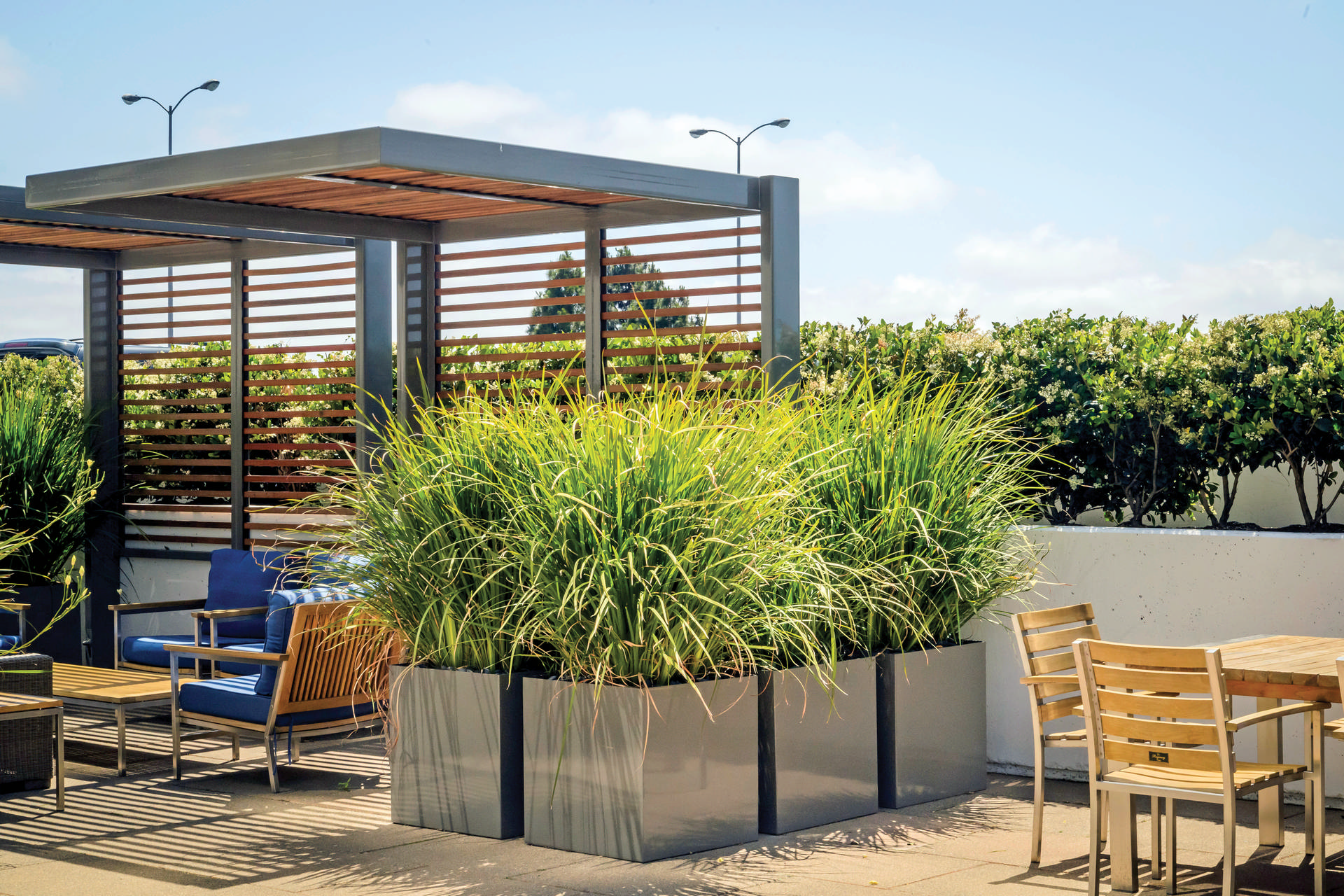 Including Greenery in Indoor and Outdoor Spaces – PUPN