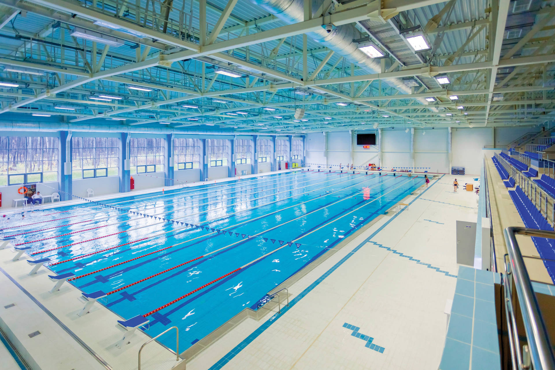 Competition Pools on Campus: What to Know Before Taking the Plunge – PUPN